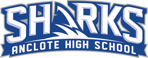 Programs & Services – AmSkills